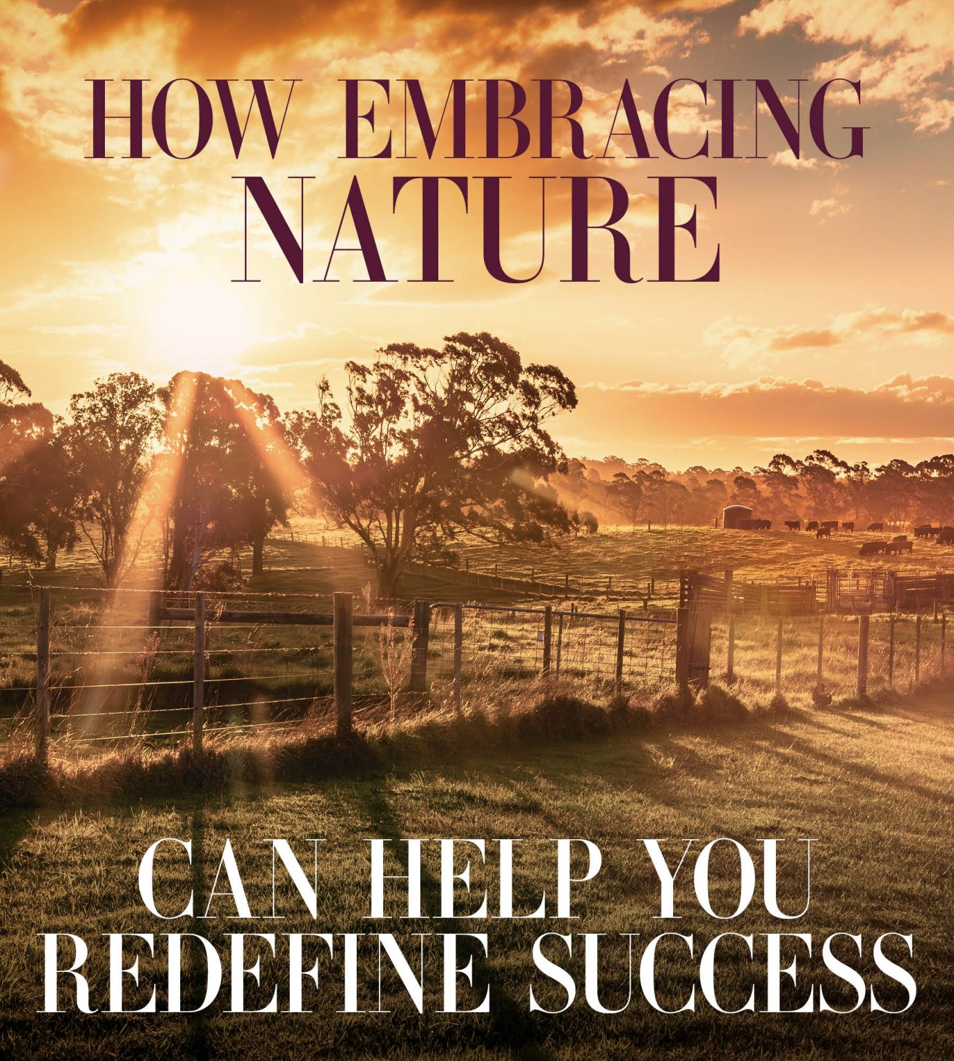 How embracing nature can help you redefine success - Compadres
